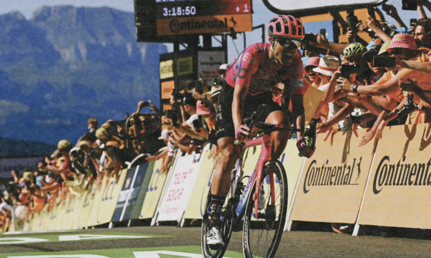 Magnus the magnificent – The Cyclery